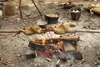 The History of American Barbecues — Virginia Stage Company