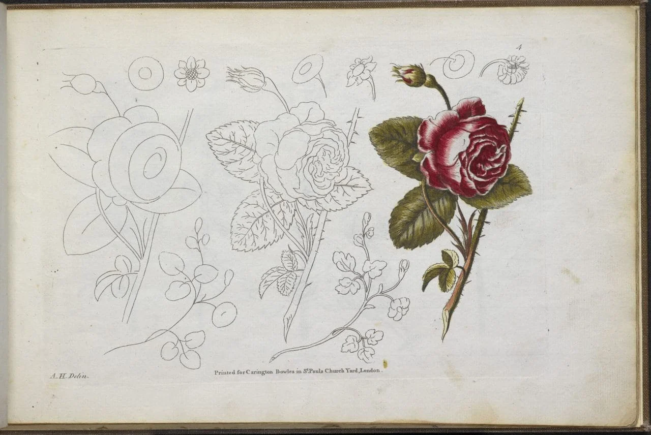 Blog — Virginia Stage Company