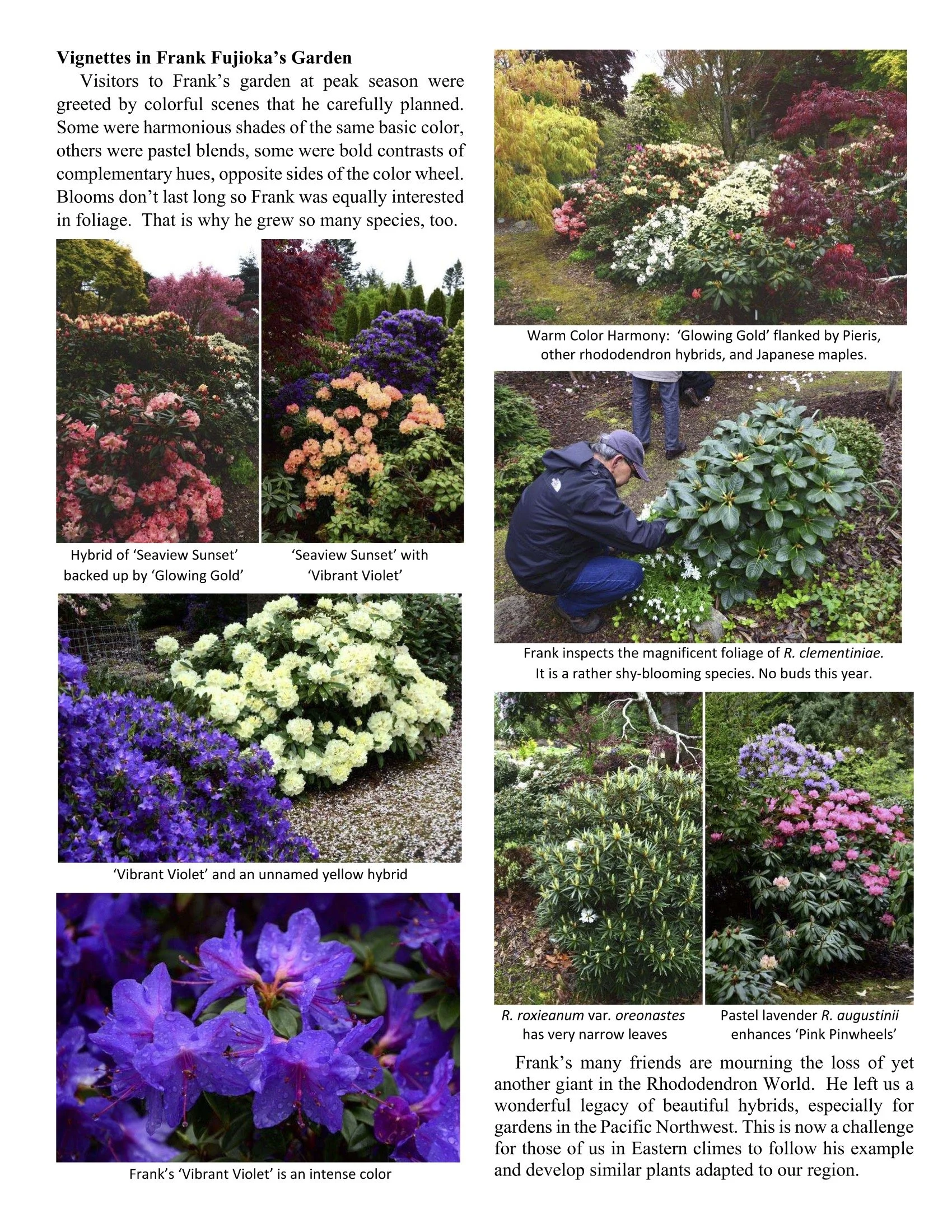 Remembering Frank Fujioka — Meerkerk Gardens
