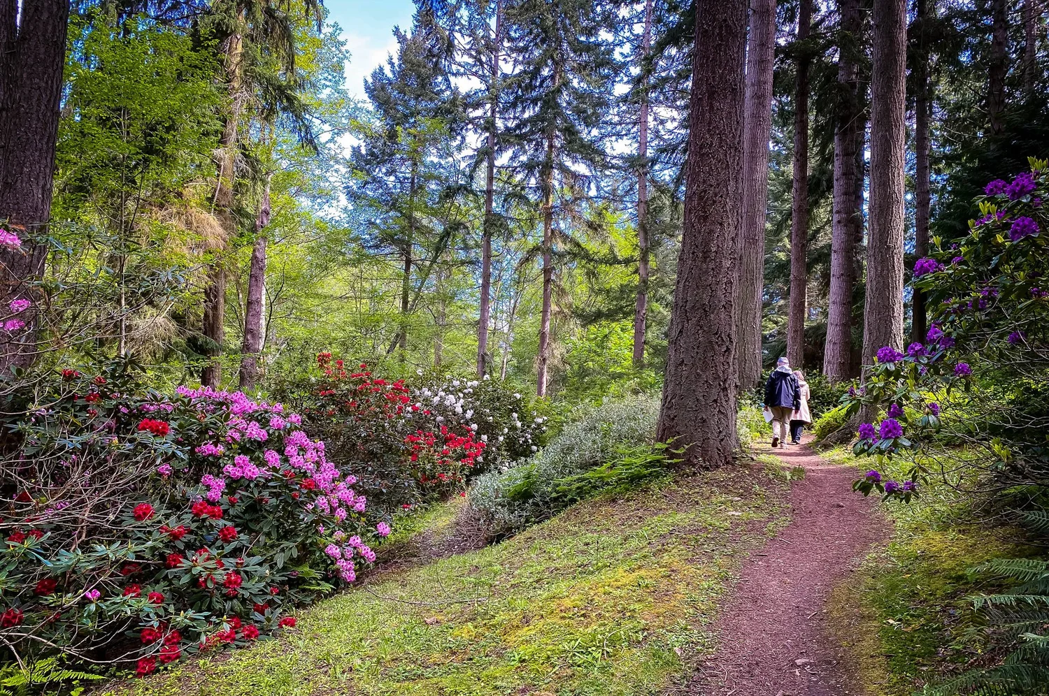 Garden Etiquette — Meerkerk Gardens