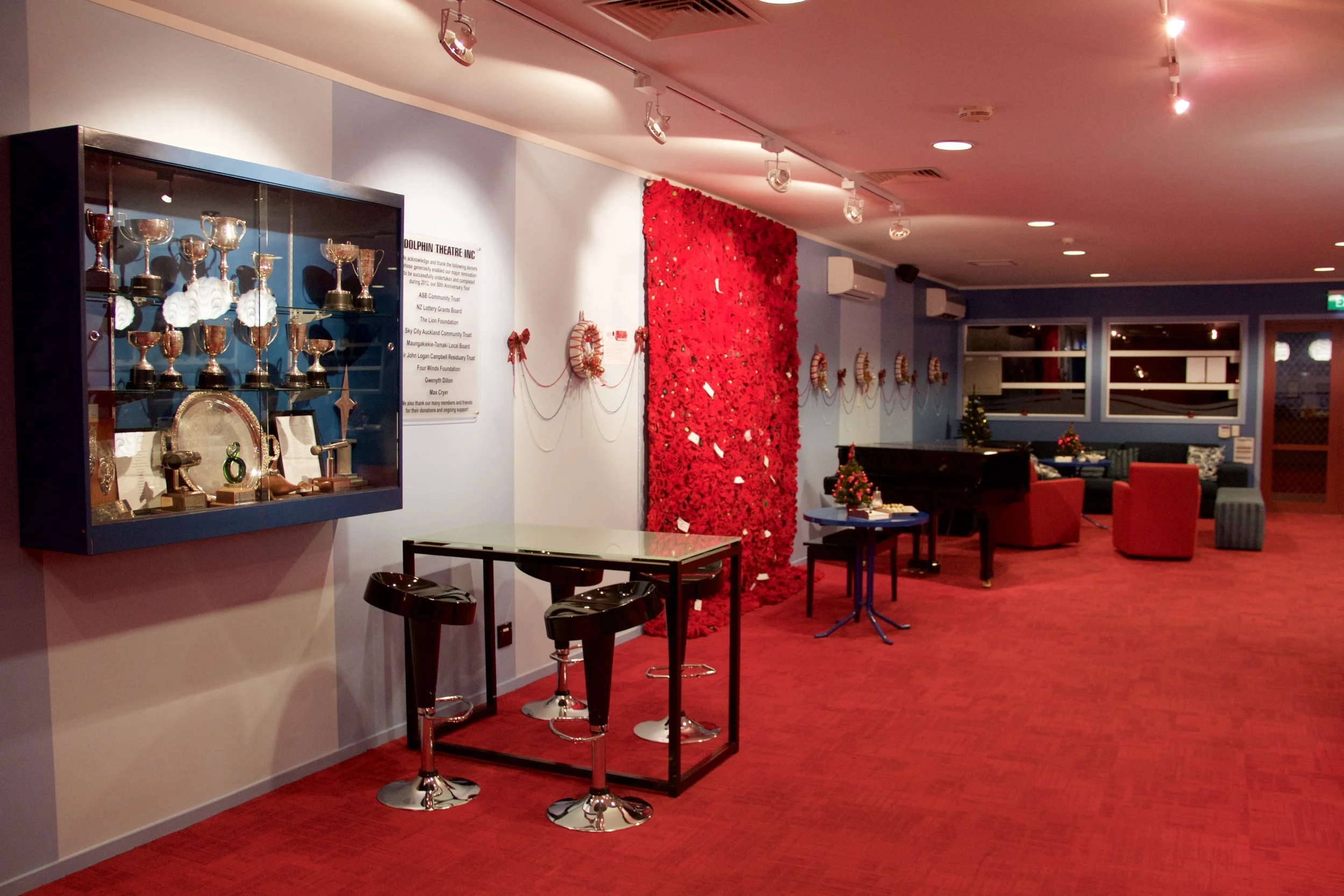 Our Theatre — Dolphin Theatre