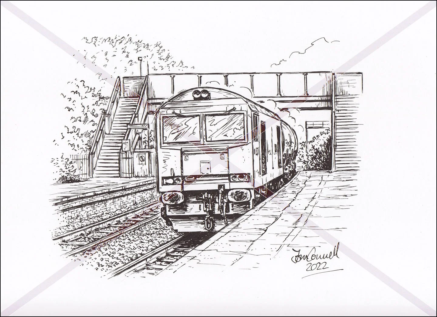 Tom Connell Illustration