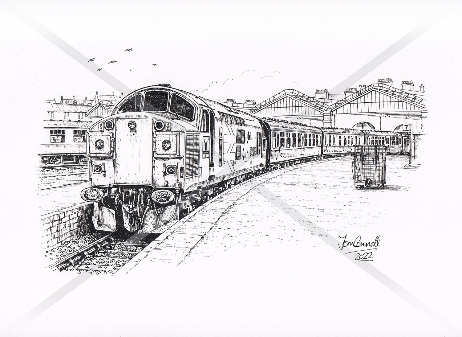 Tom Connell Illustration