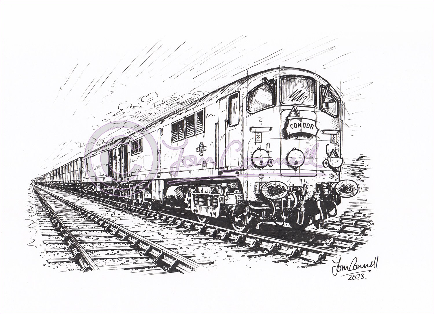 Tom Connell Illustration