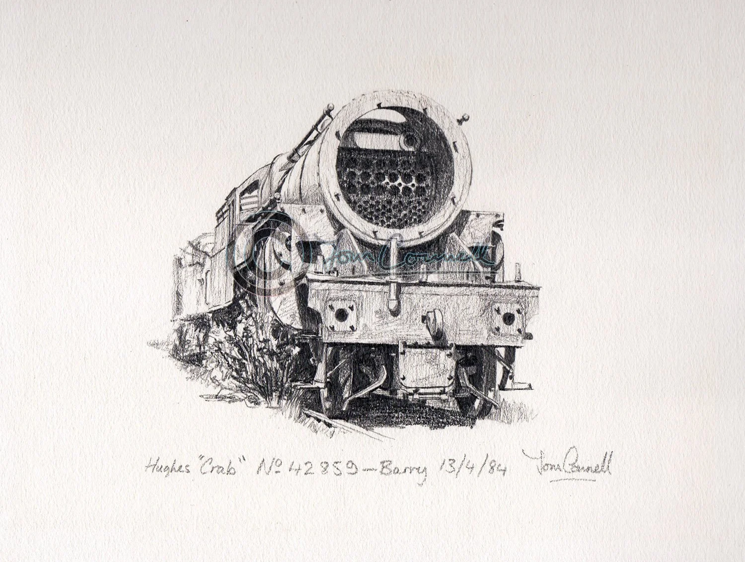 Tom Connell Illustration