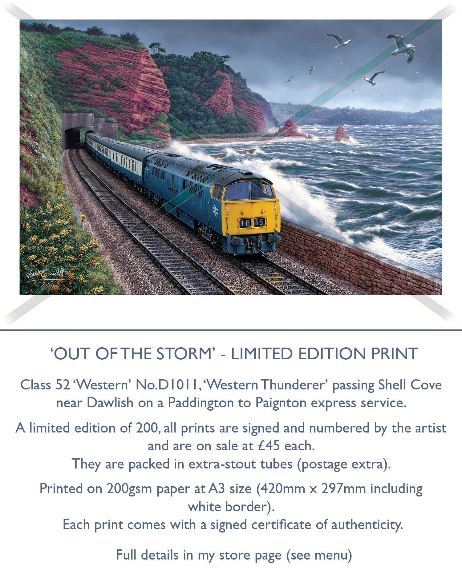 Tom Connell Illustration