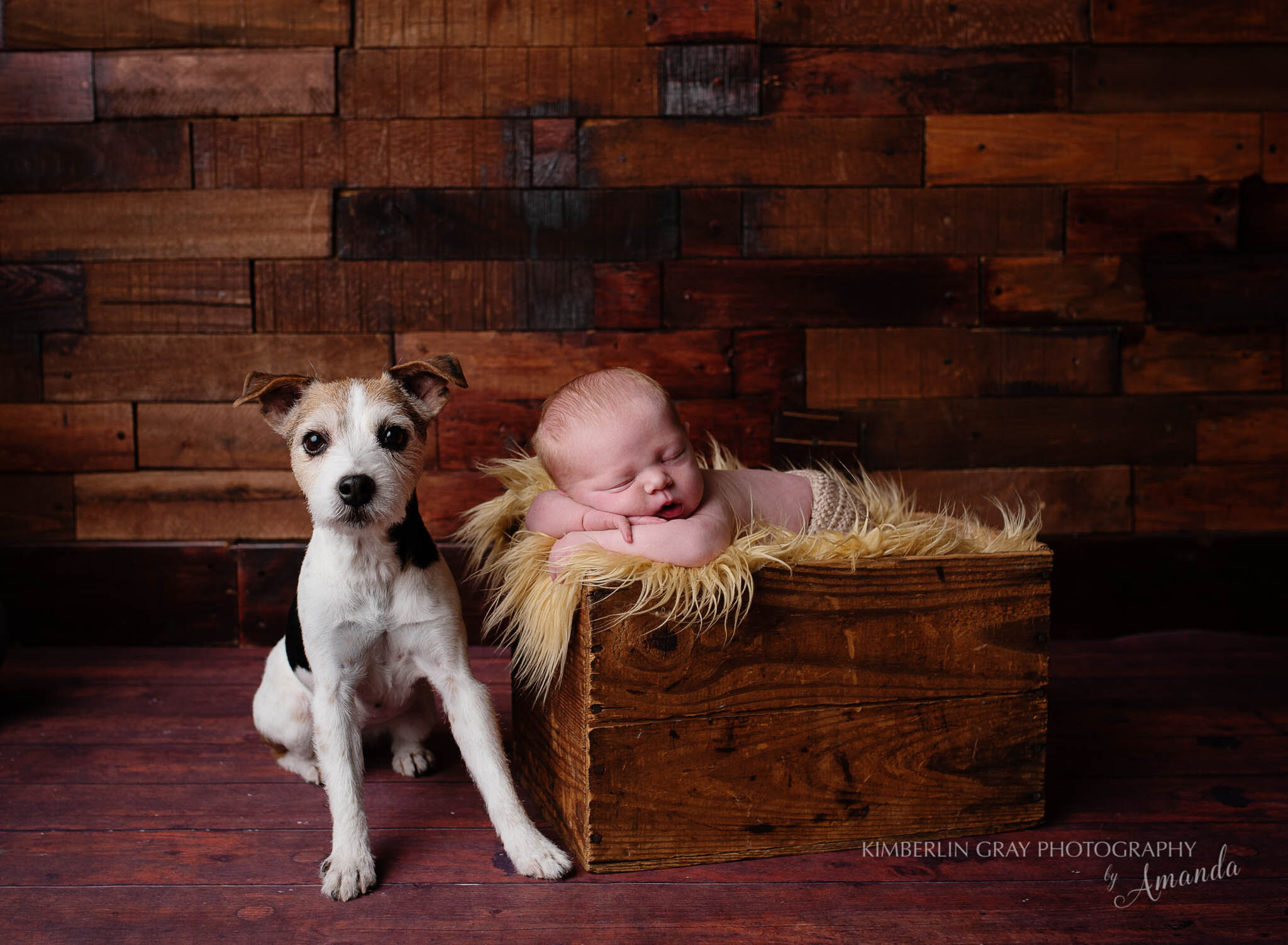 Blog Posts — Kimberlin Gray Photography | Virginia Beach & Norfolk ...