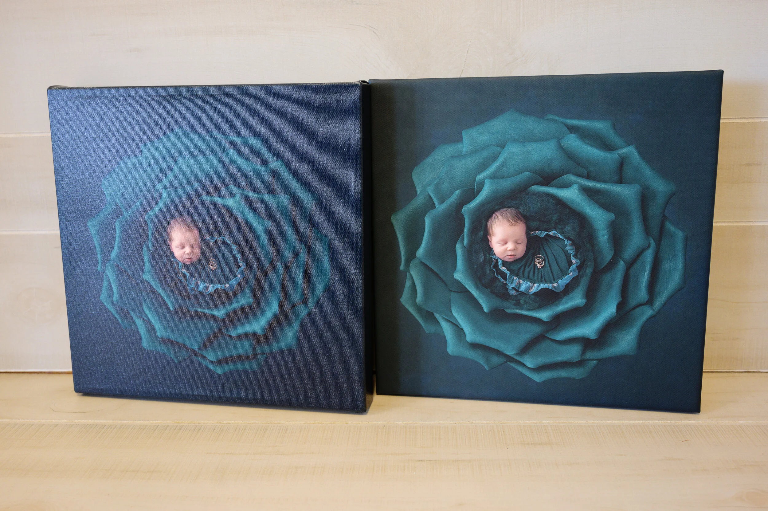 Blog Posts — Kimberlin Gray Photography | Virginia Beach & Norfolk ...