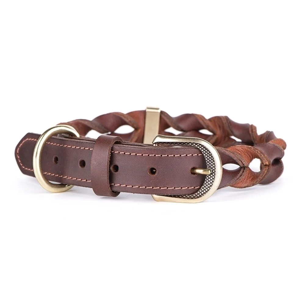 Paco & Lucia — Ascot Collar - Brown