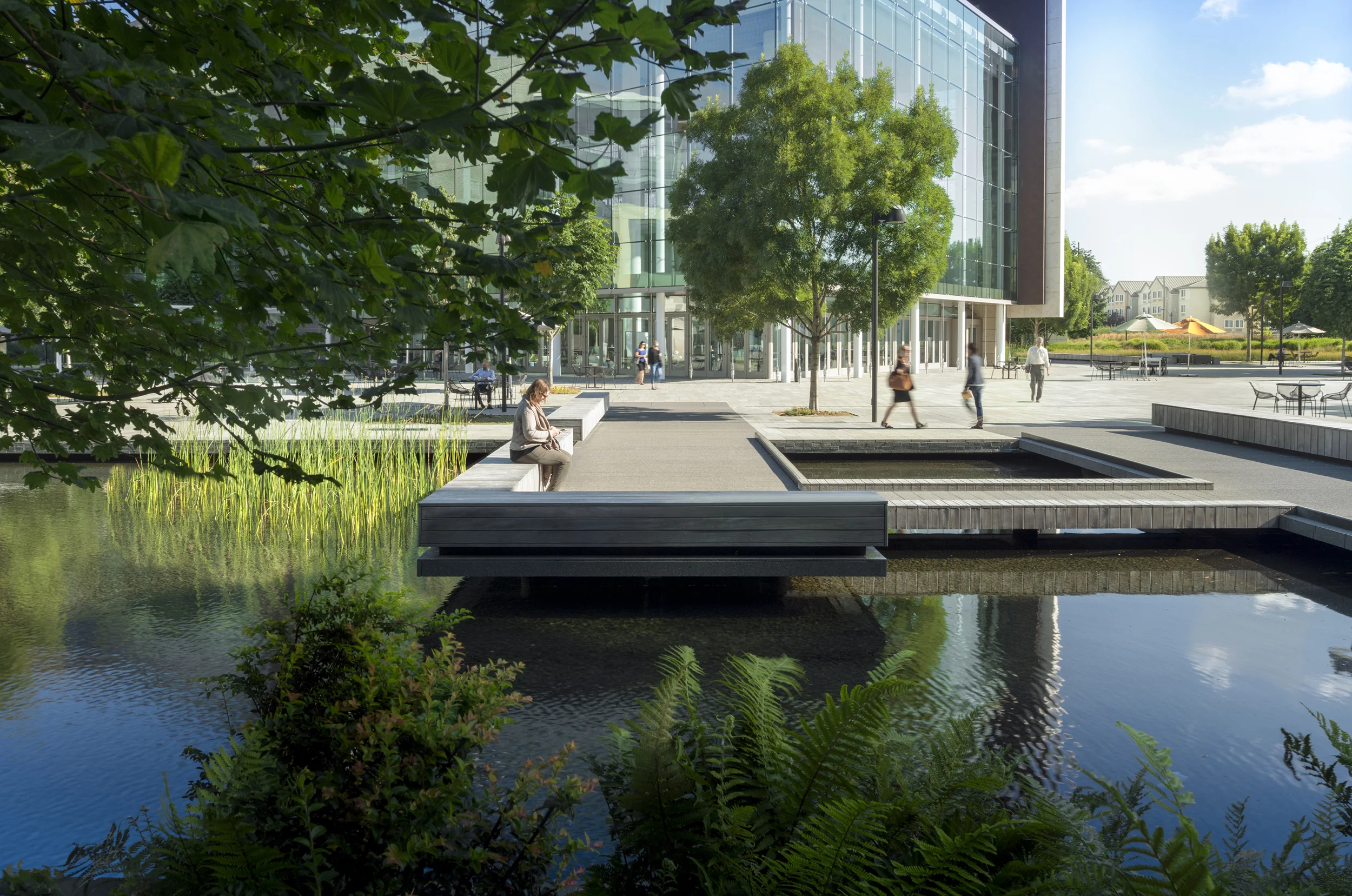 The Lurie Garden at Millennium Park — GGN