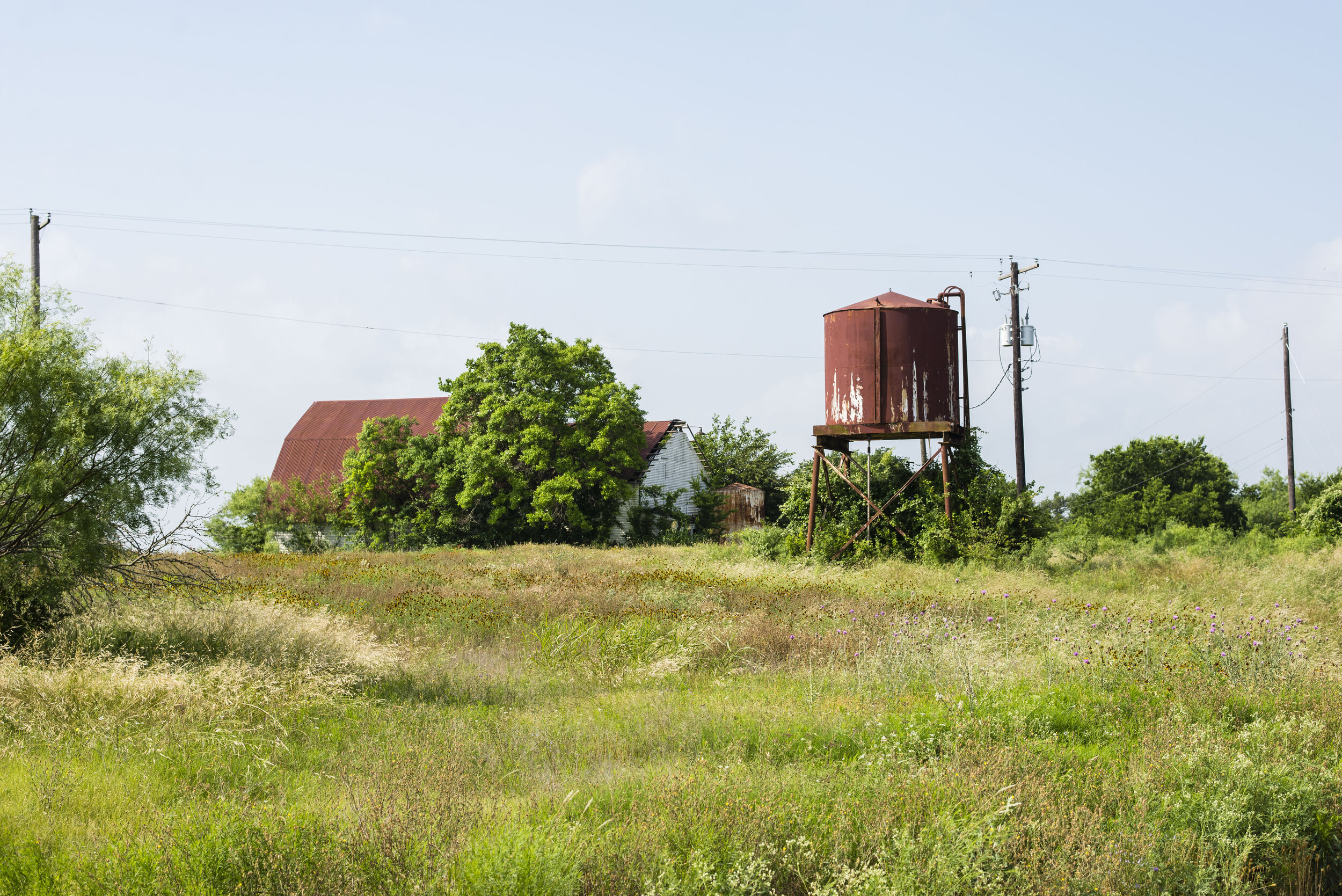 John Trevino Metro Park — GGN