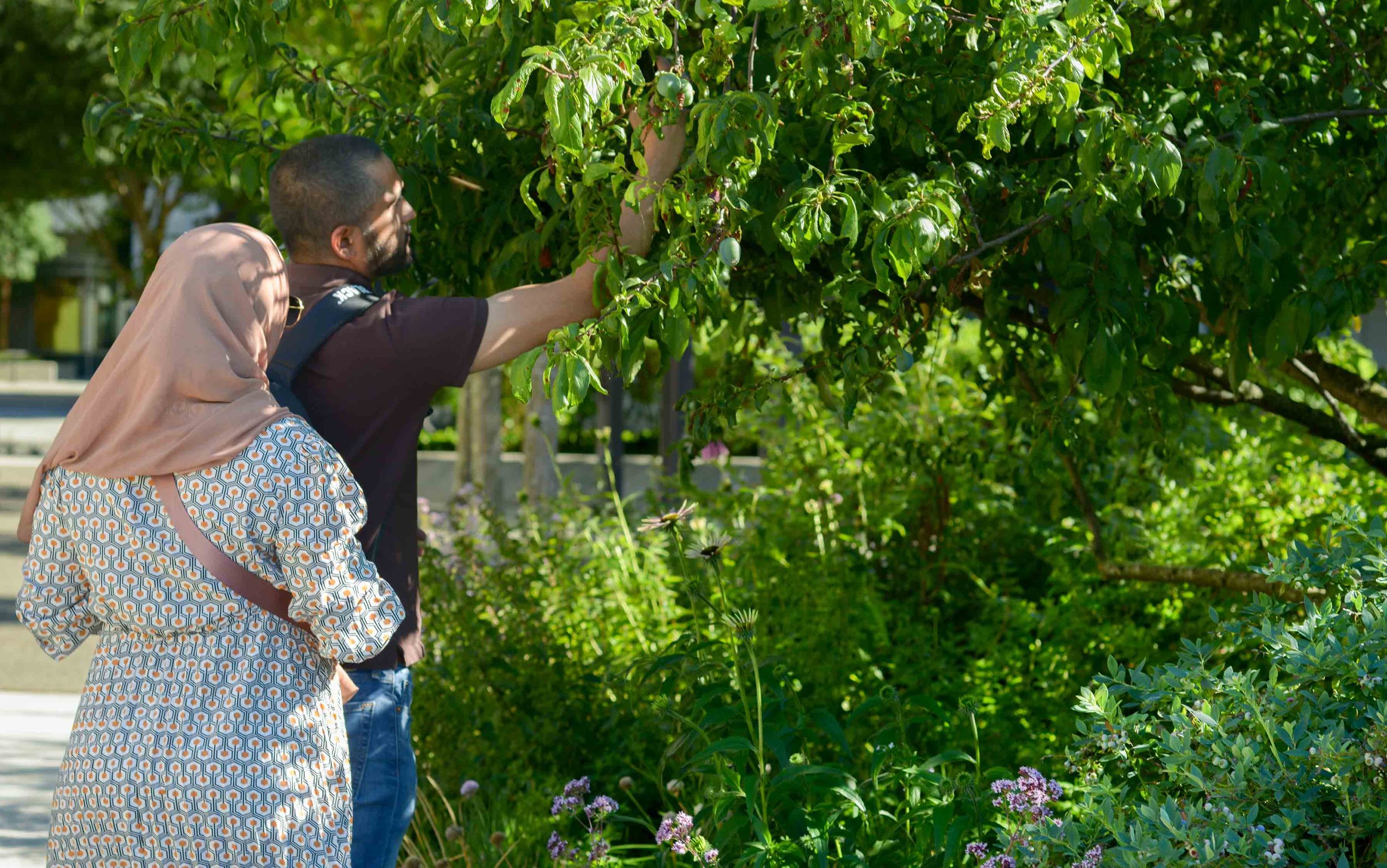 The Spring District — GGN