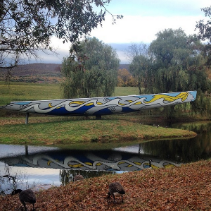 Selected Work — Raquel Laneri