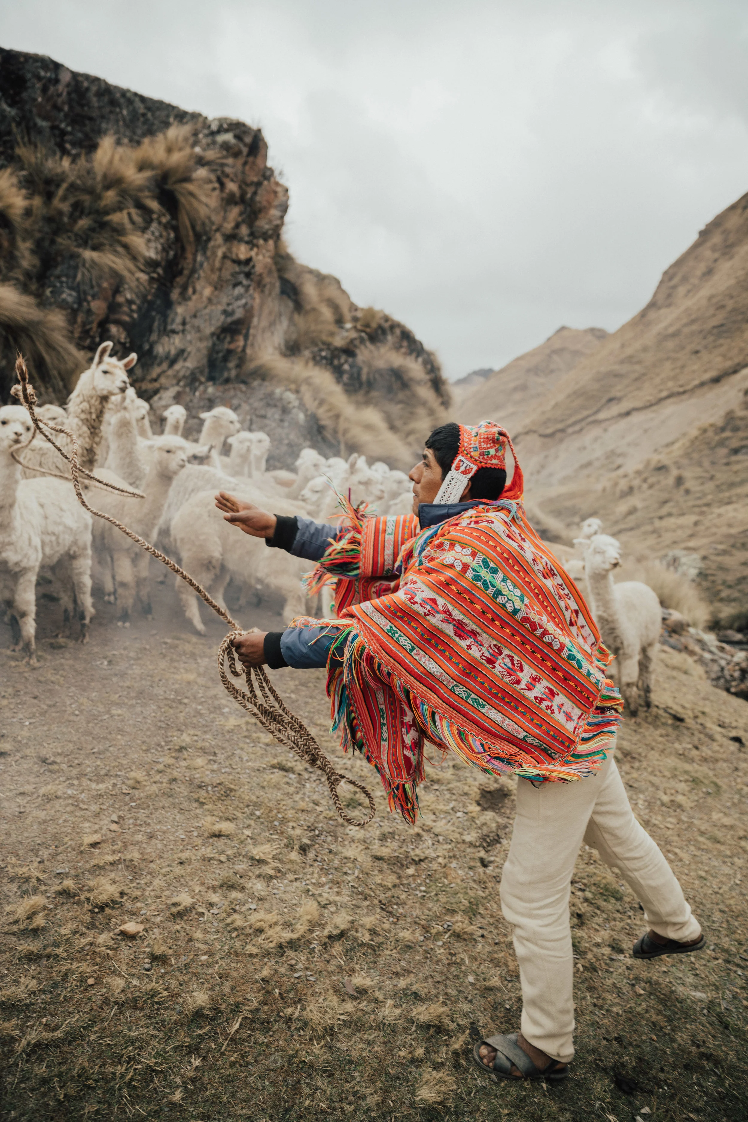 What is a Llama Blessing Ceremony in Peru Really Like? — Acanela ...