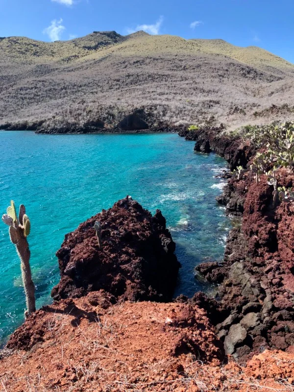 Wildlife in the Galápagos Islands — Acanela Expeditions