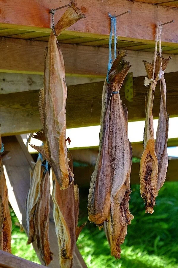 Must-Try Icelandic Foods — Acanela Expeditions