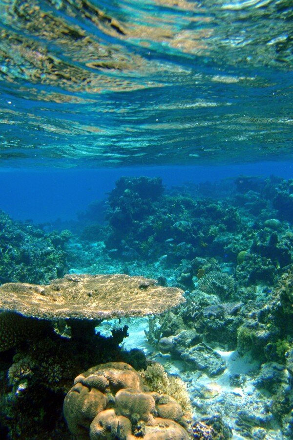 Fiji - A Pearl on The Pacific Ocean — Acanela Expeditions