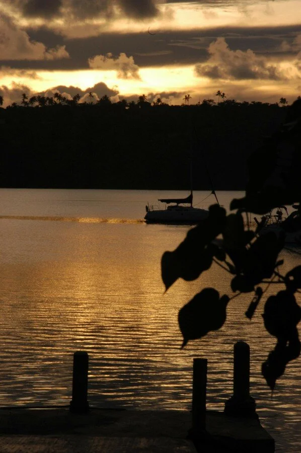 A Glimpse of Tonga Culture — Acanela Expeditions