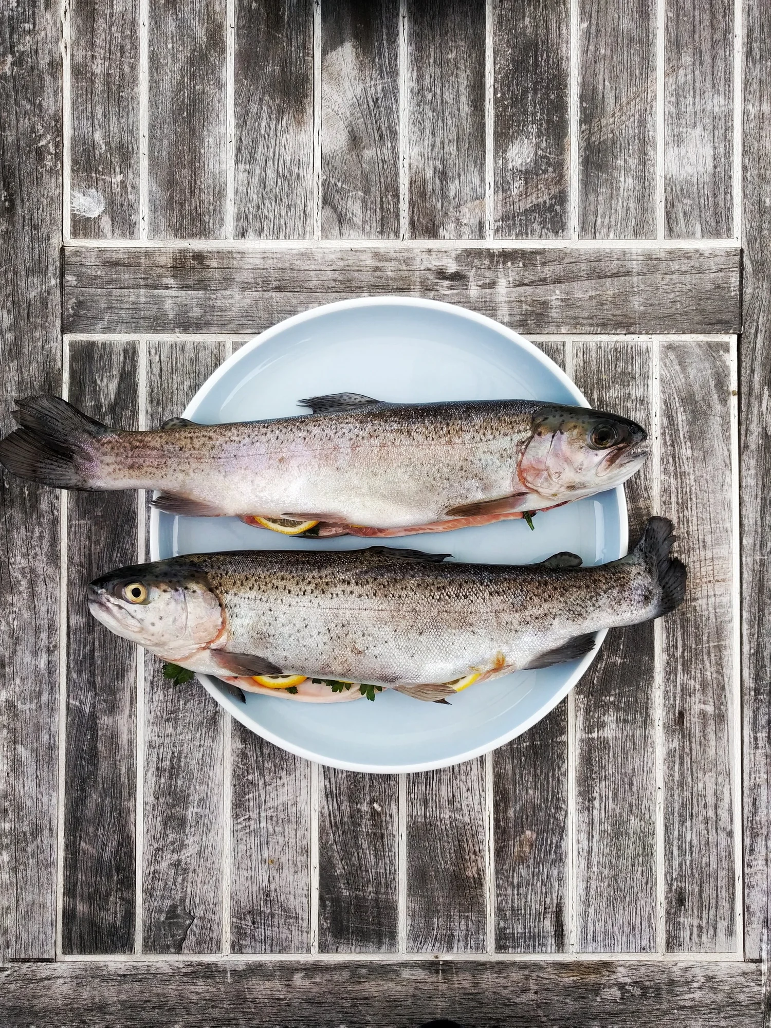 What to Eat in Antarctica? — Acanela Expeditions