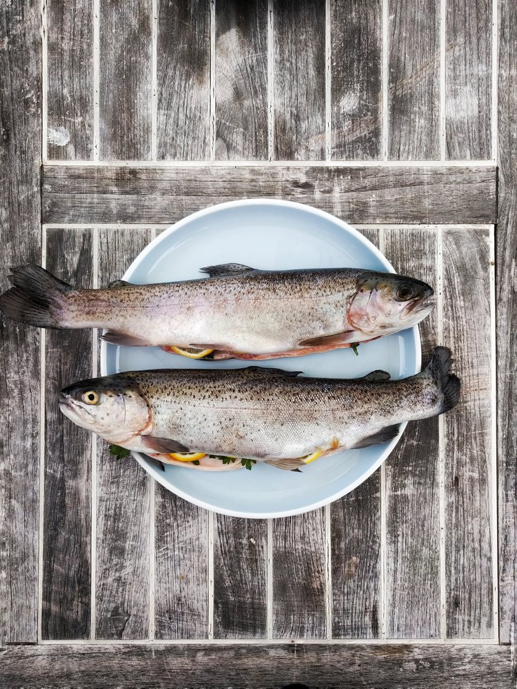 What to Eat in Antarctica? — Acanela Expeditions