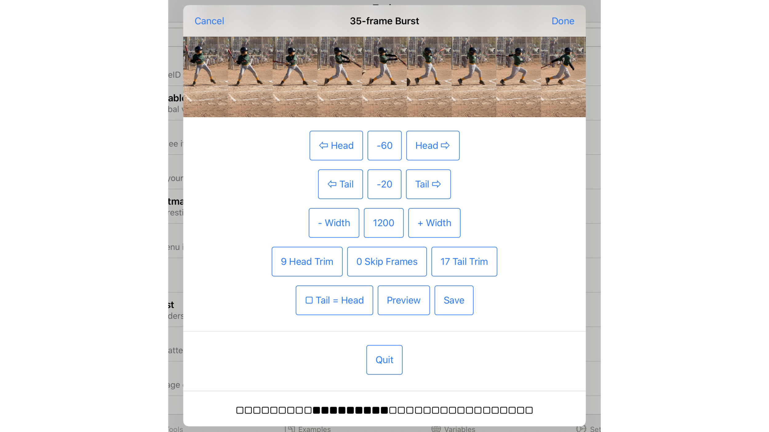 Free Stuff — Prolost Store