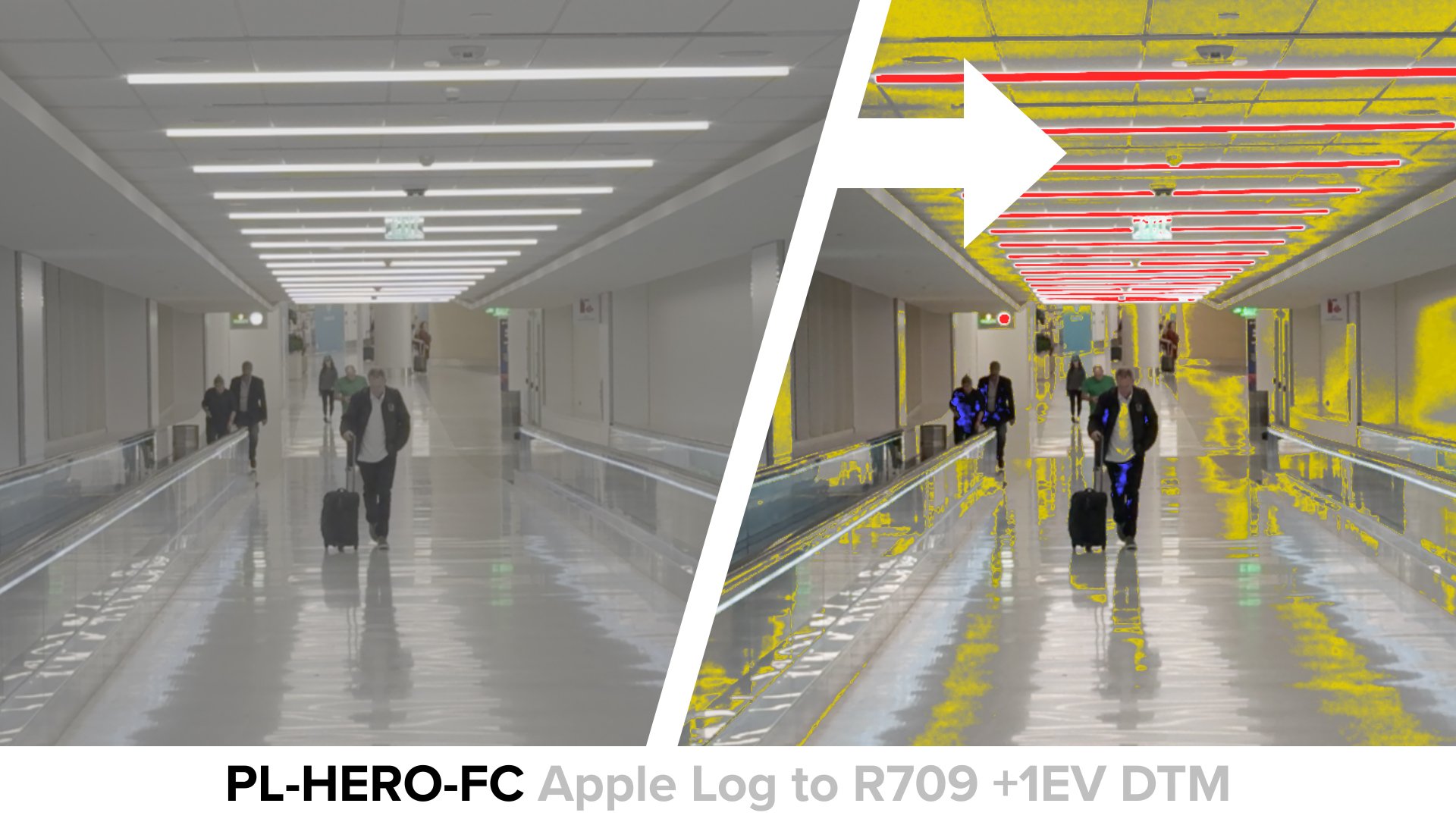 Apple Log — Prolost Store