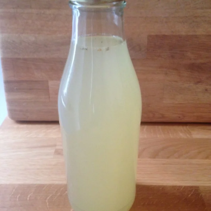 The Ultimate Guide To Water Kefir — The Conscious Club
