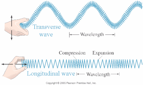 The Science of Sound — The Conscious Club