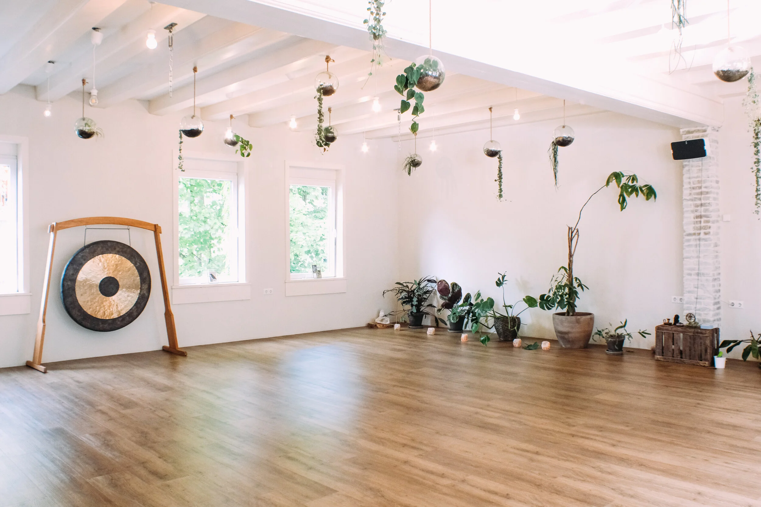 The Conscious Club