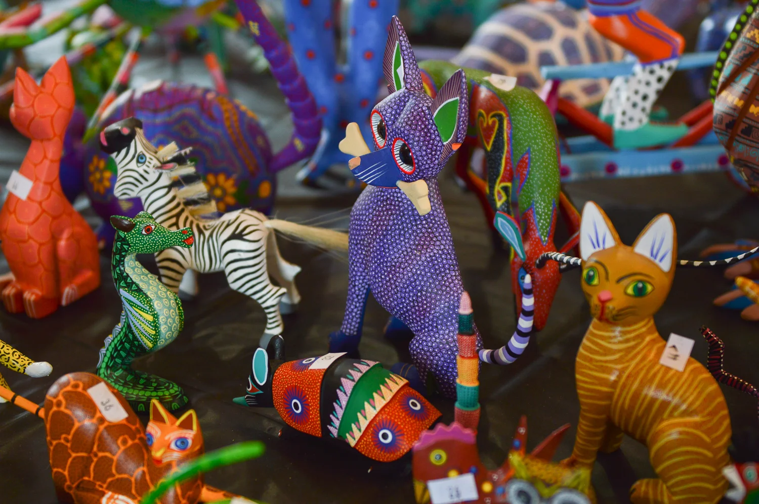 Tucson, Part 2 — Cacti & Mountains