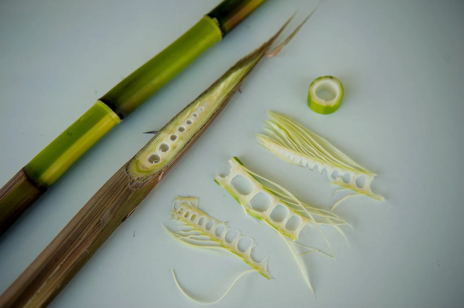 Bamboo Art — Cacti & Mountains