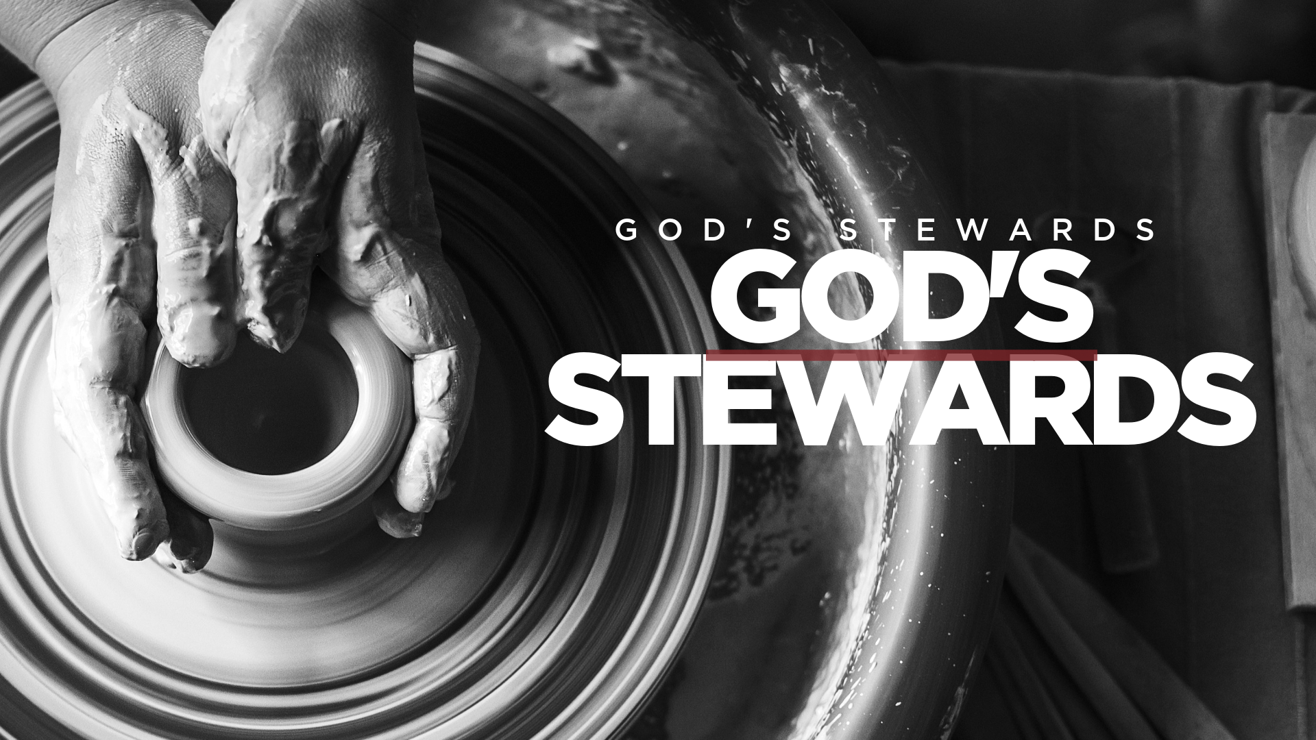 God's Stewards: God's Stewards