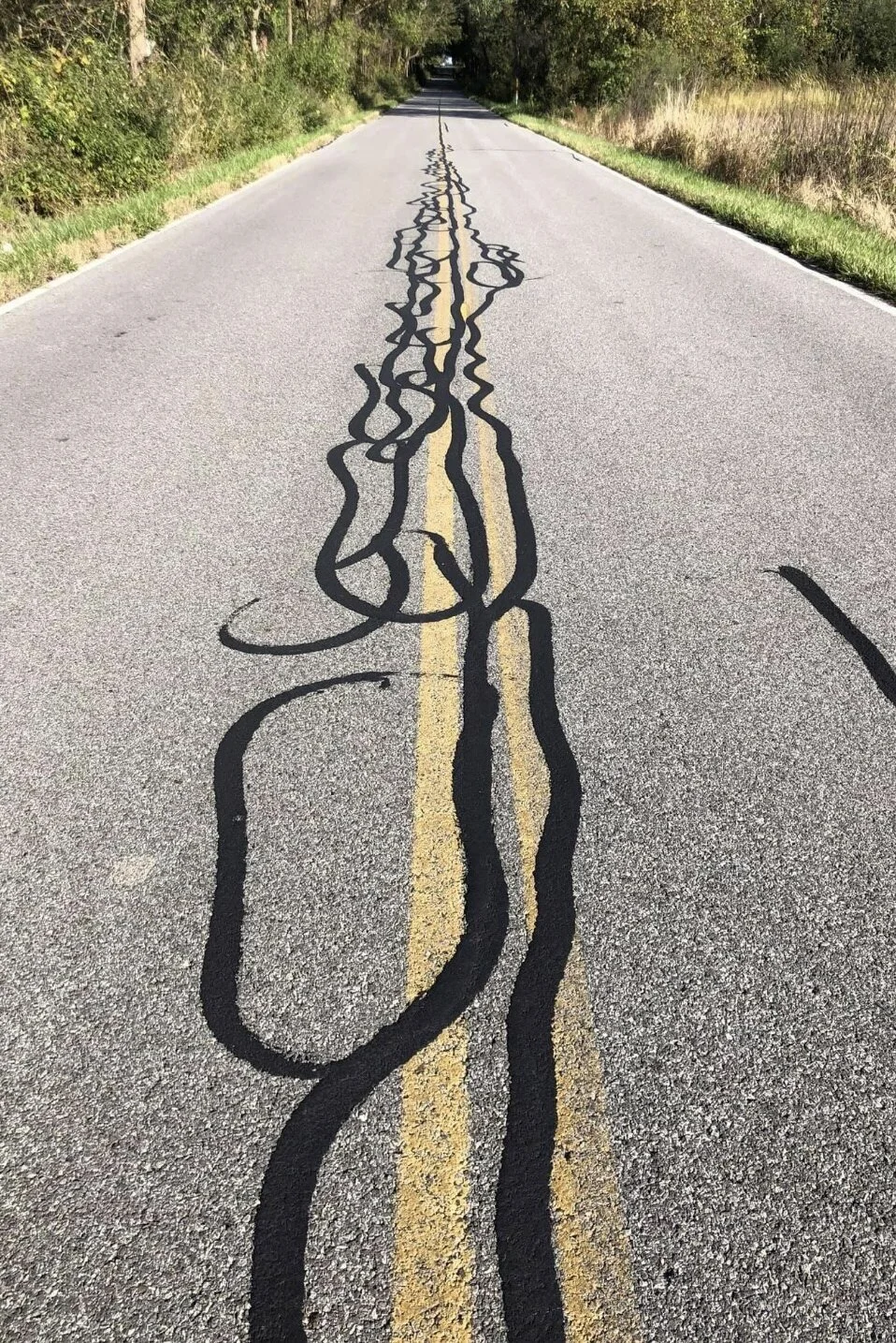 Tar Lines Installation — Nancy Natow-Cassidy