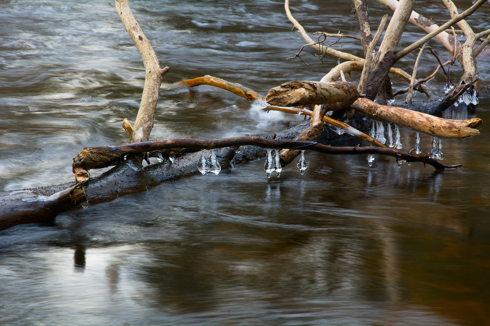 Brett Erdmann Photography