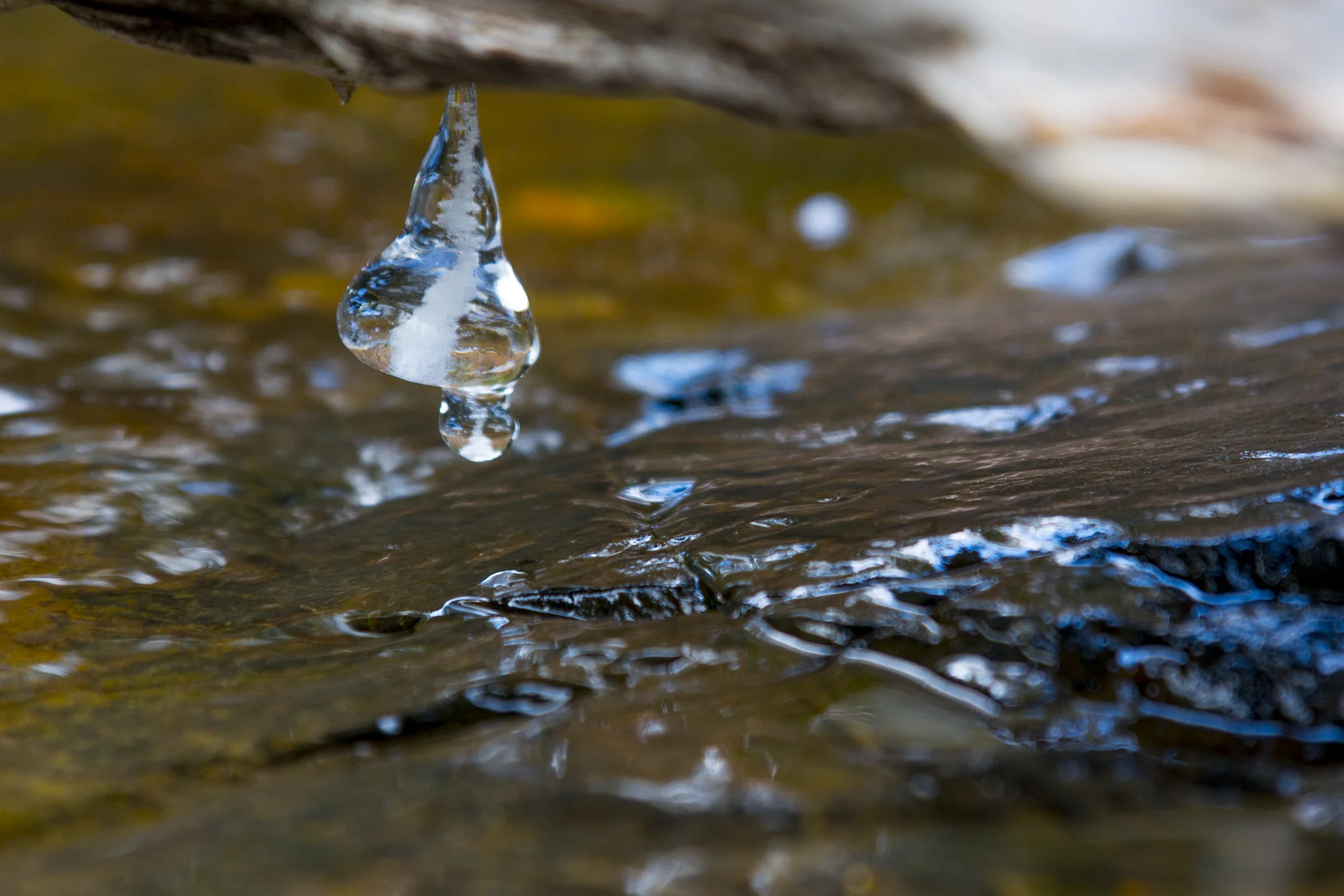 Brett Erdmann Photography