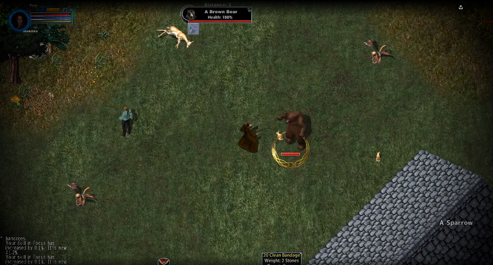 ULTIMA ONLINE Spent 3 Years Developing A System That Was Destroyed By ...