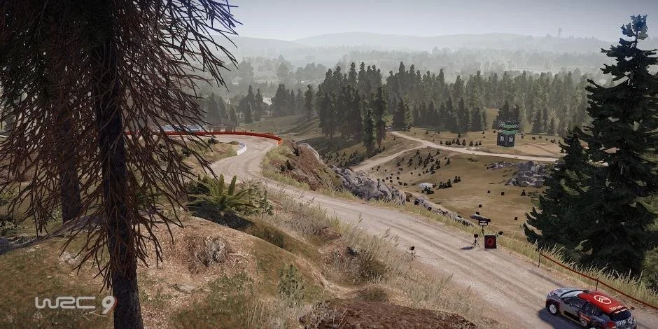 WRC 9 Review: A Newbie-Friendly Racing Sim — GameTyrant