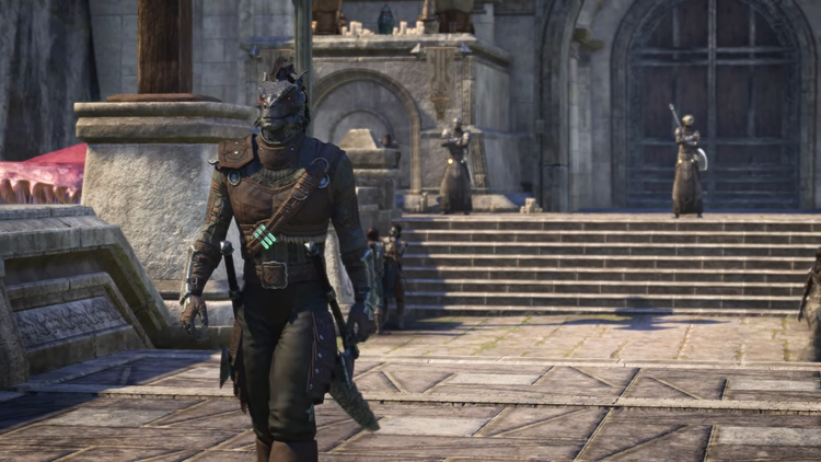 Elder Scrolls Online Assassin Armor