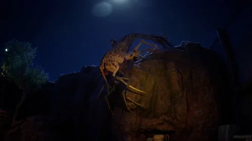 Serparachnodalis - Download Free 3D model by SpiderBight [ArachnoBoy ...