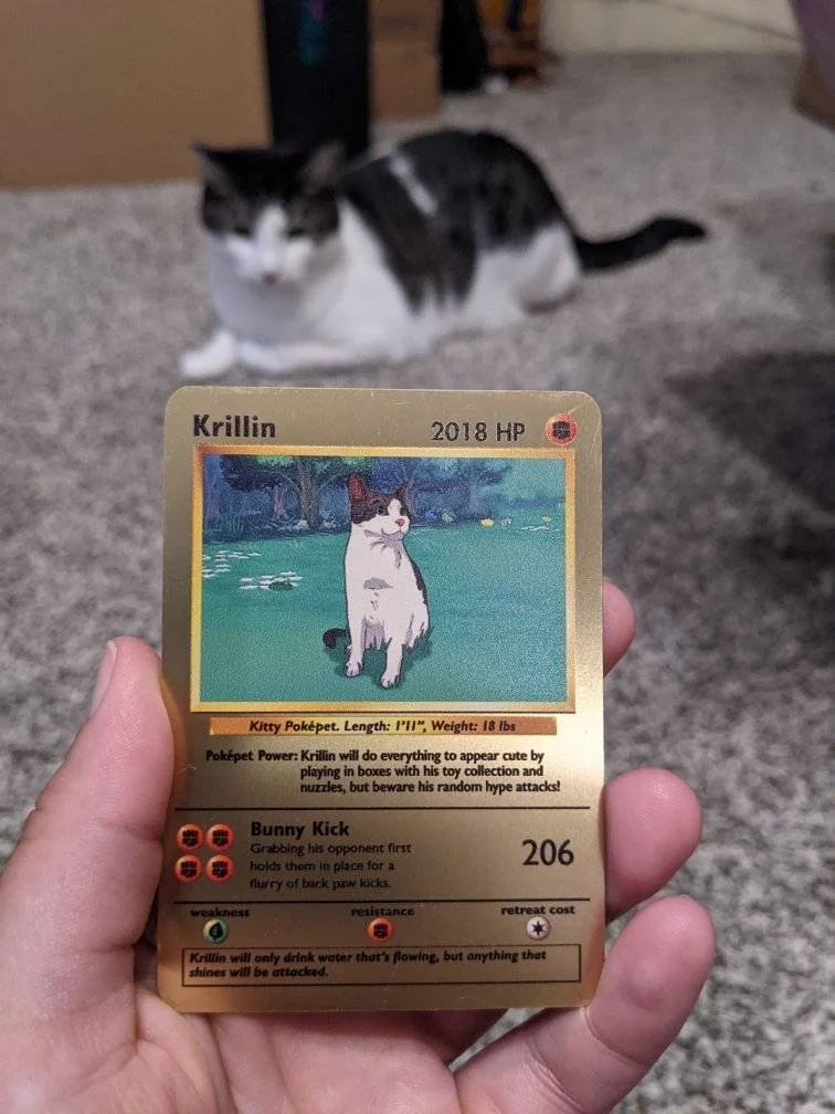 SOMETHING COOL: Turn Your Pet Into A Pokemon With PokePet — GameTyrant