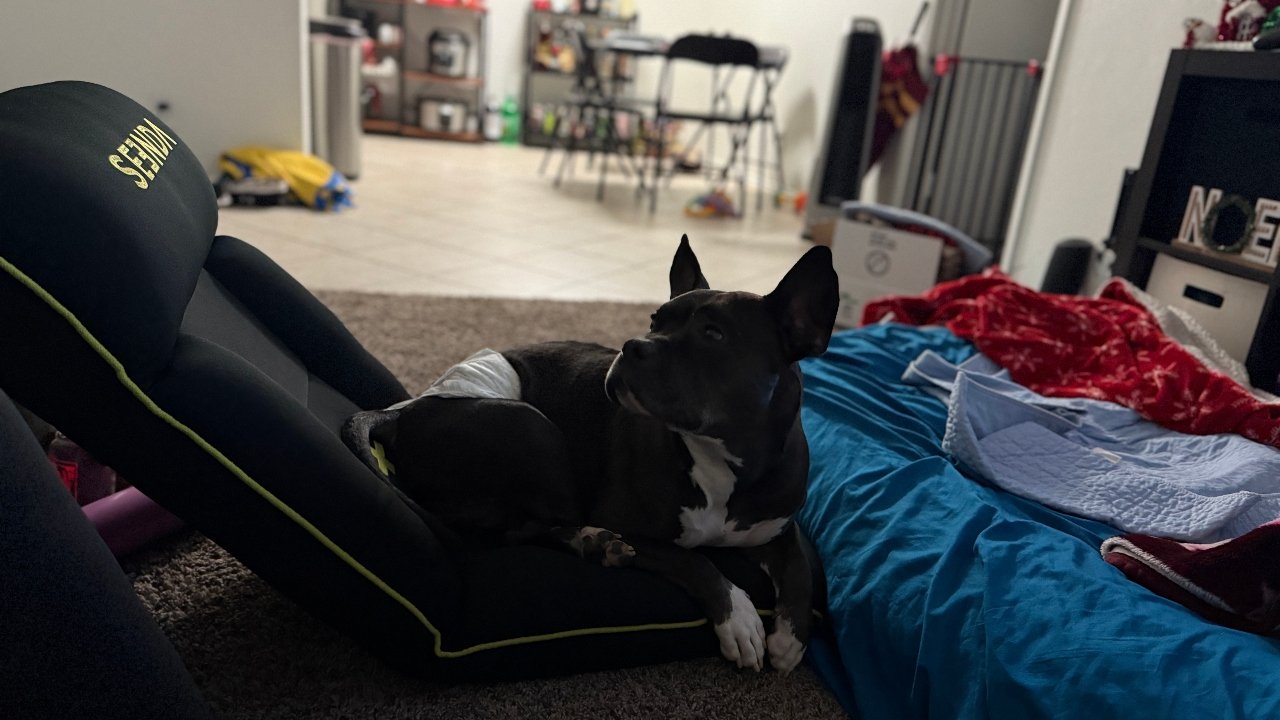 SEENDA Folding Floor Gaming Chair Review – Surprisingly Comfortable and ...