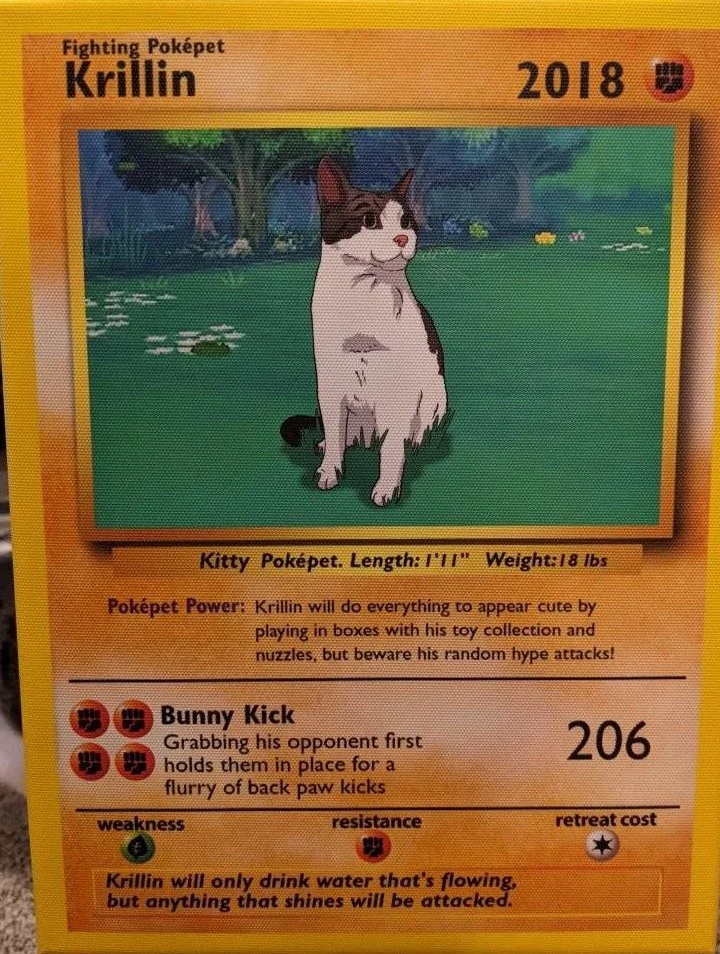 SOMETHING COOL: Turn Your Pet Into A Pokemon With PokePet — GameTyrant