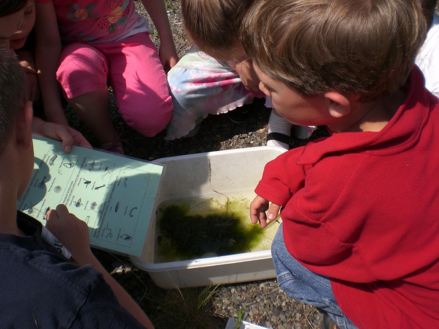 School Programs — Nature Vision