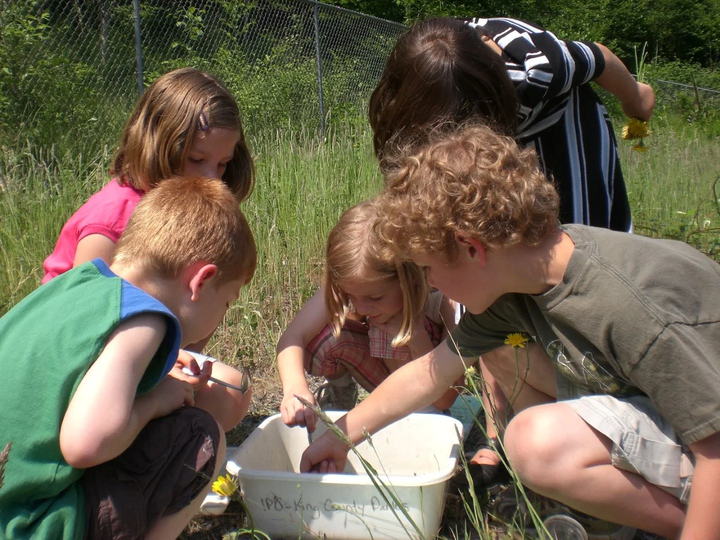 School Programs — Nature Vision