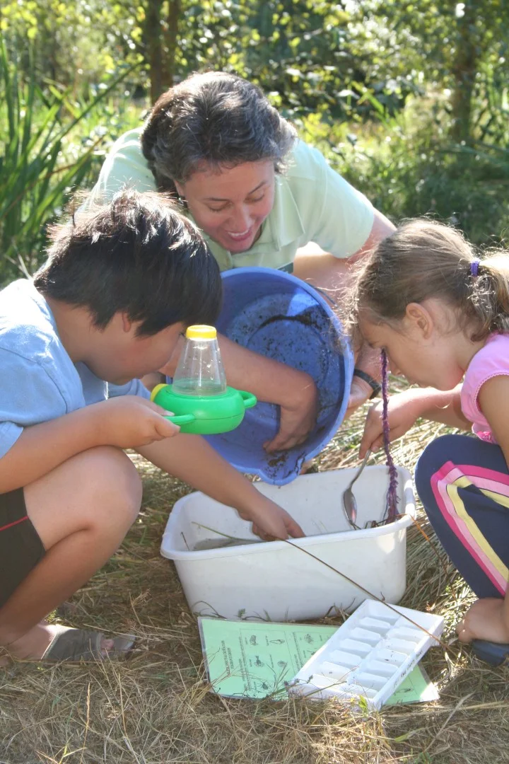 School Programs — Nature Vision