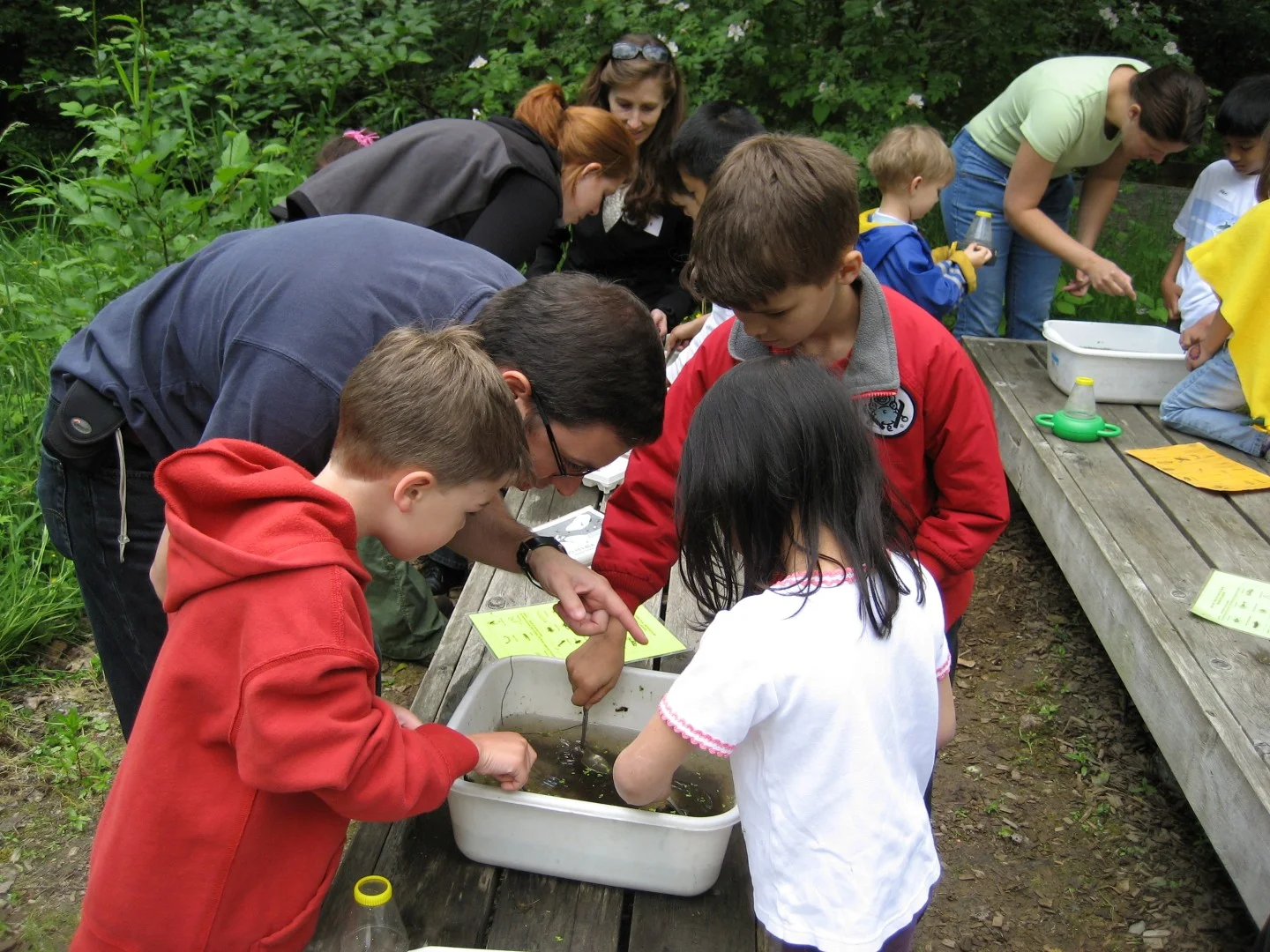 School Programs — Nature Vision