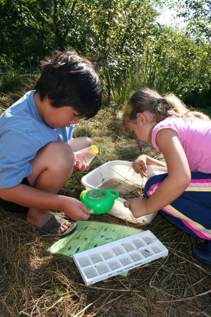 School Programs — Nature Vision