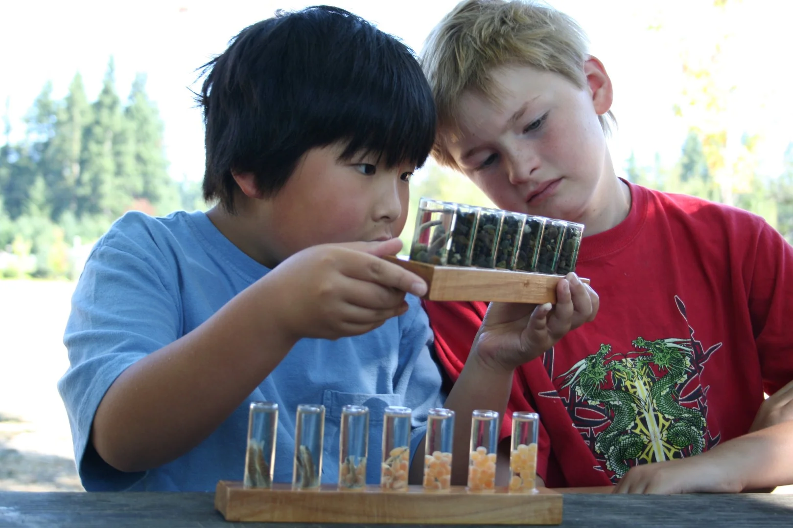 School Programs — Nature Vision