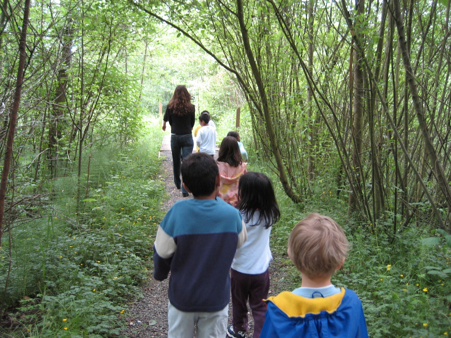 School Programs — Nature Vision