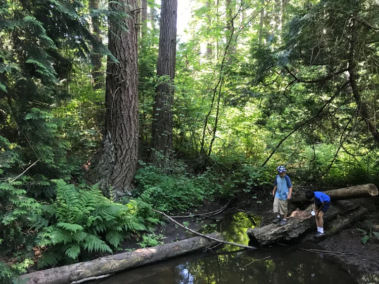 Day Camp and Summer Programs — Nature Vision